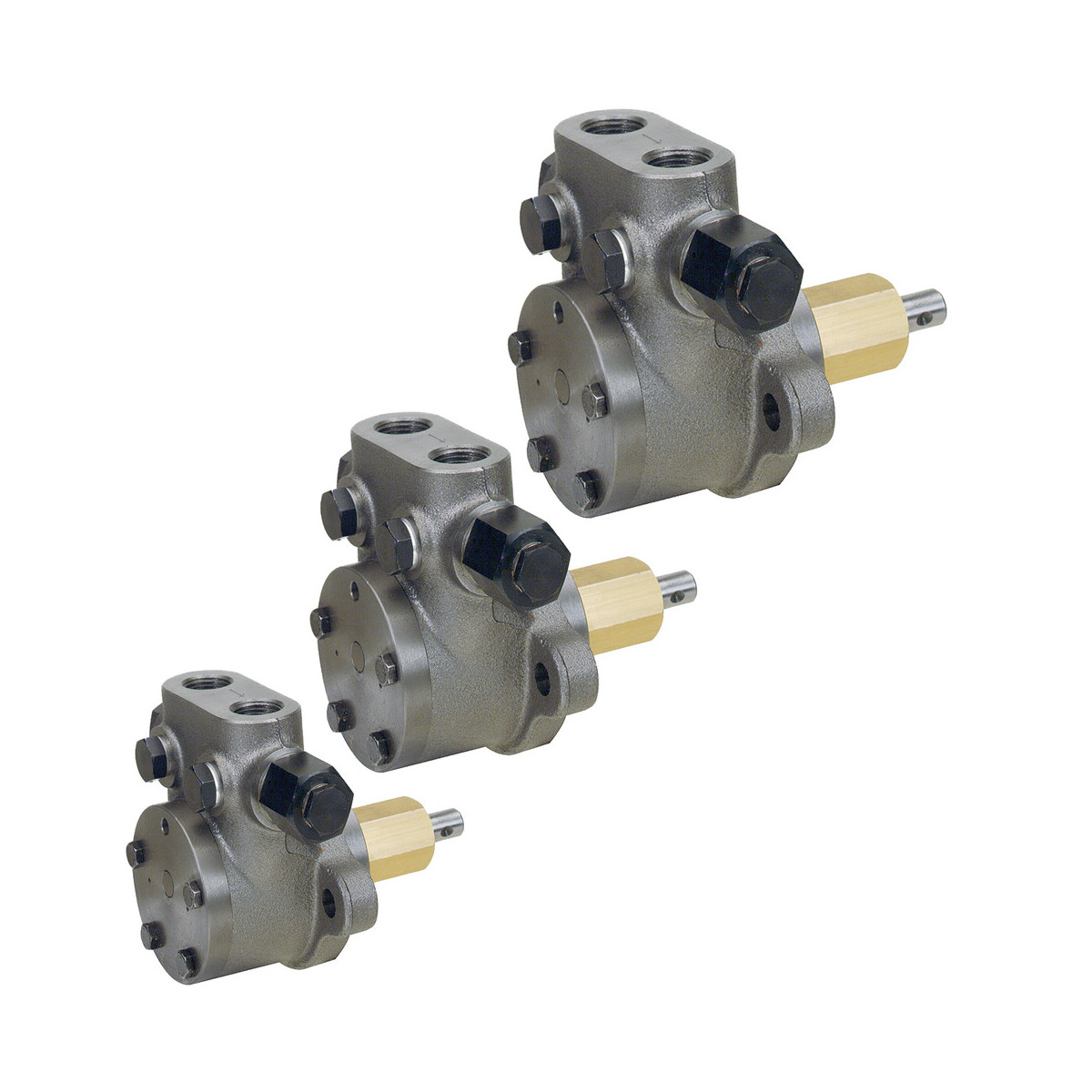 Internal gear pumps with overflow valve VB series